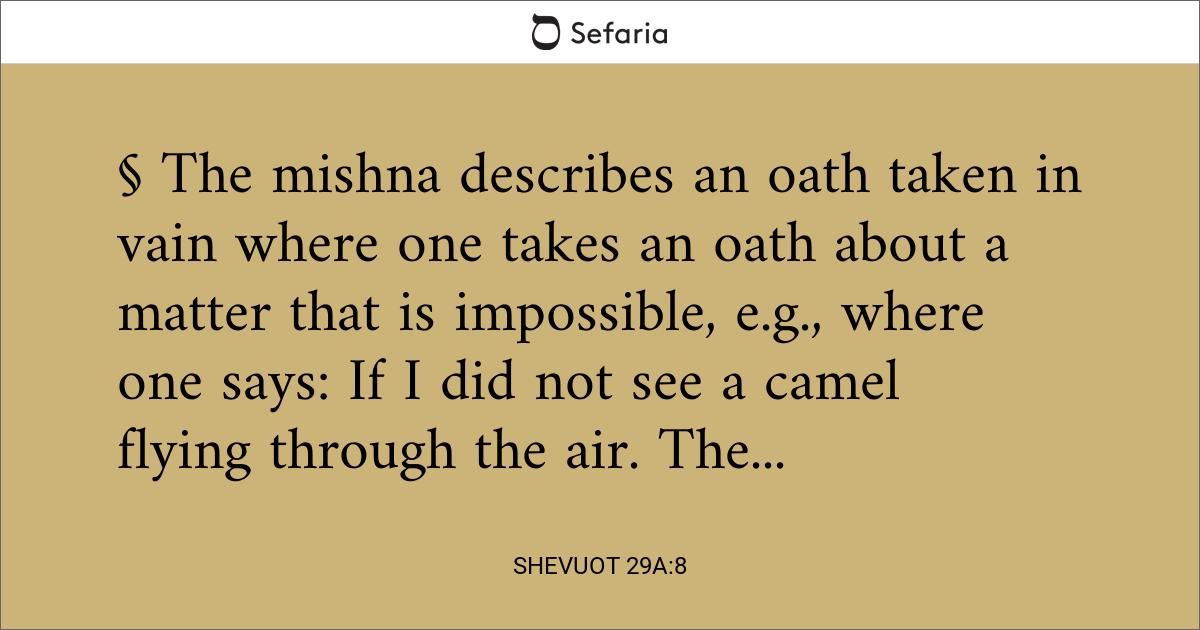 Shevuot 29a:8