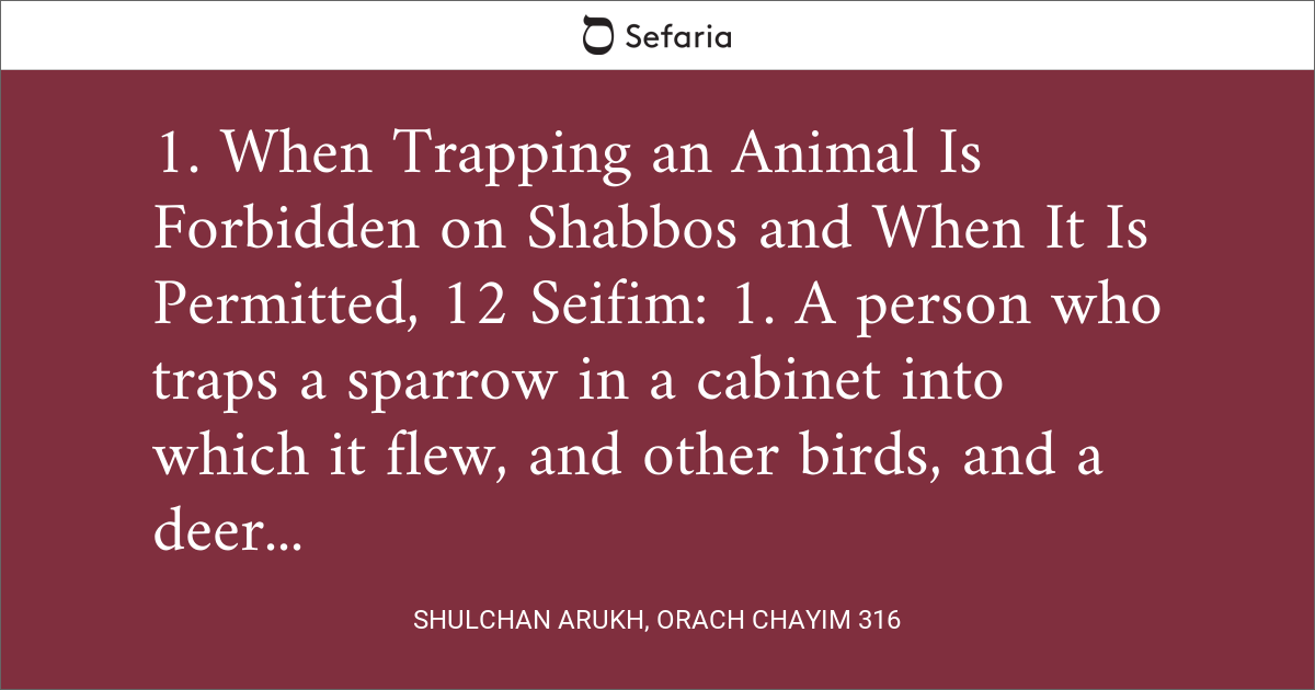 Shulchan Arukh, Orach Chayim 316