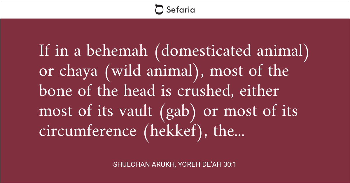 Shulchan Arukh, Yoreh De'ah 30:1
