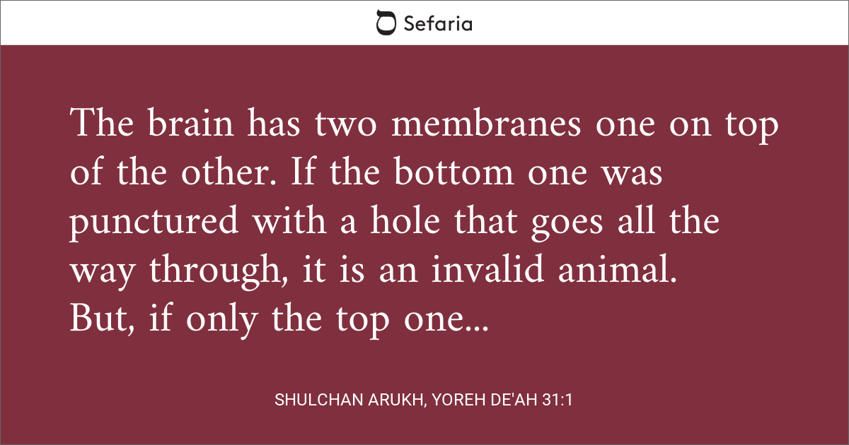 Shulchan Arukh, Yoreh De'ah 31:1