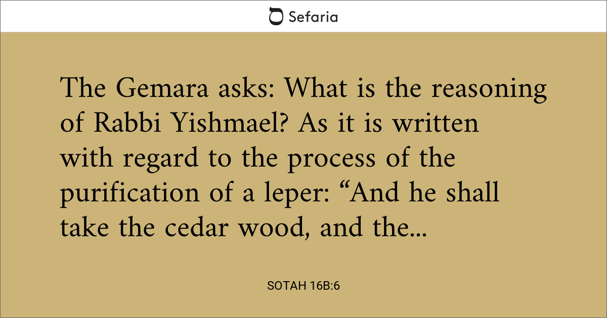 Sotah 16b:6