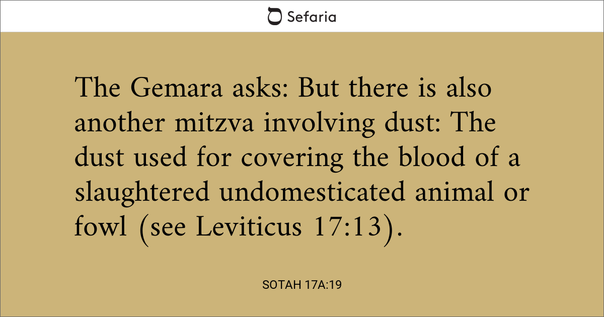 Sotah 17a:19
