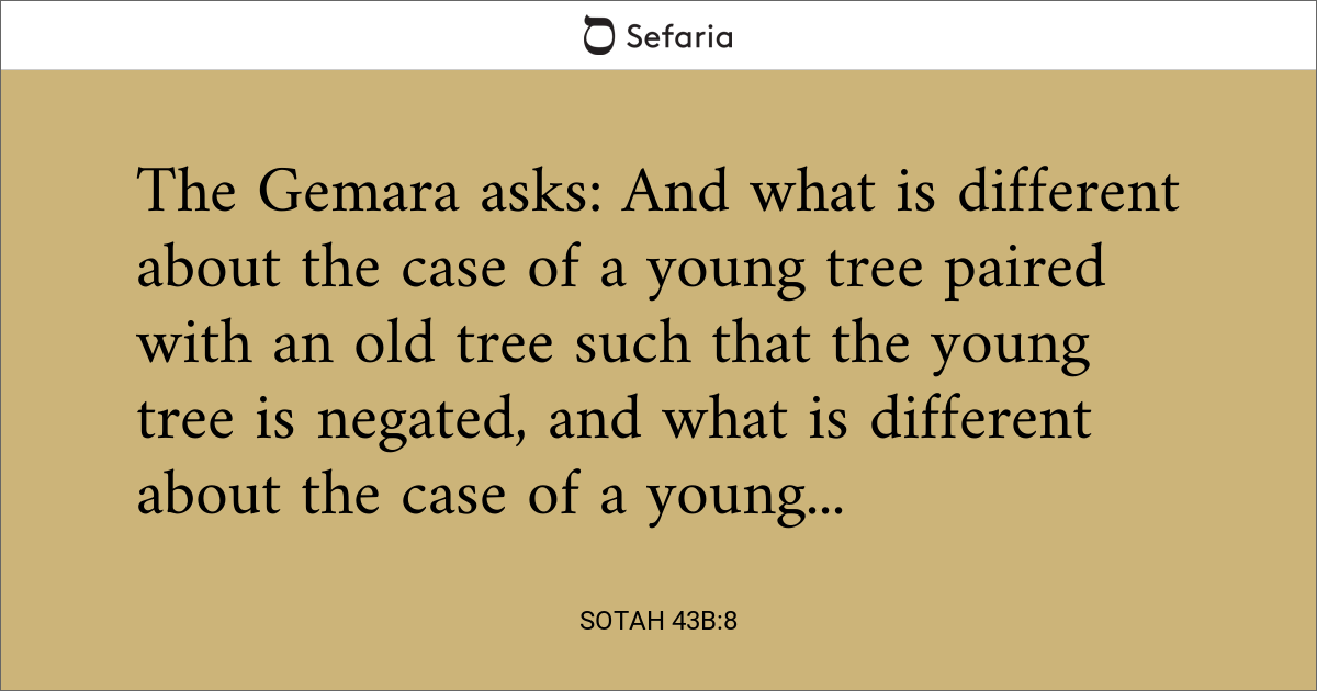 Sotah 43b:8