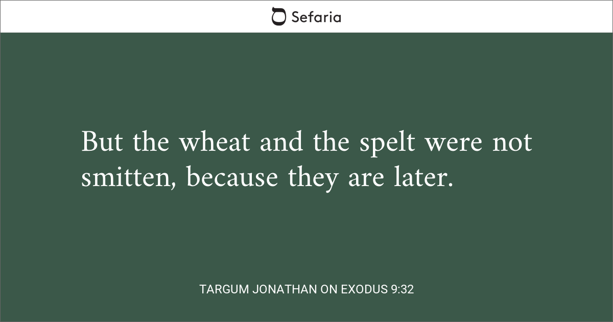 Targum Jonathan on Exodus 9:32