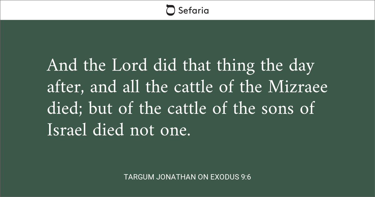Targum Jonathan on Exodus 9:6