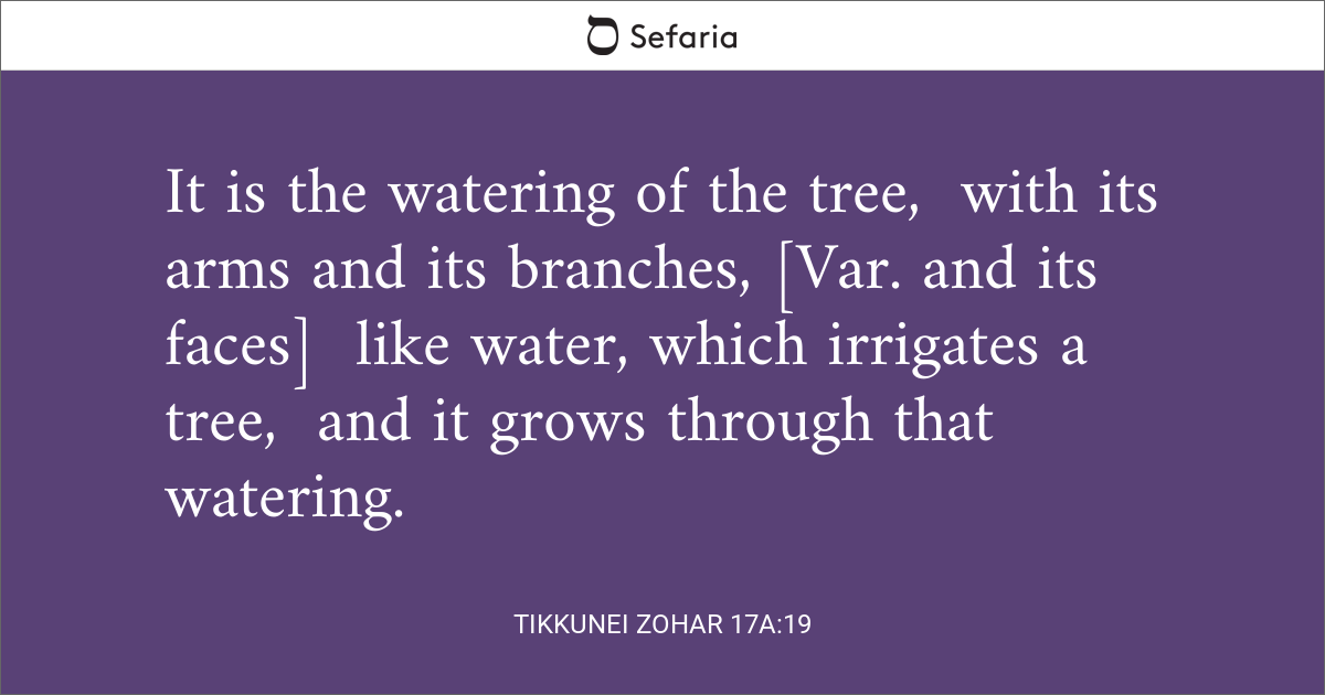 Tikkunei Zohar 17a:19