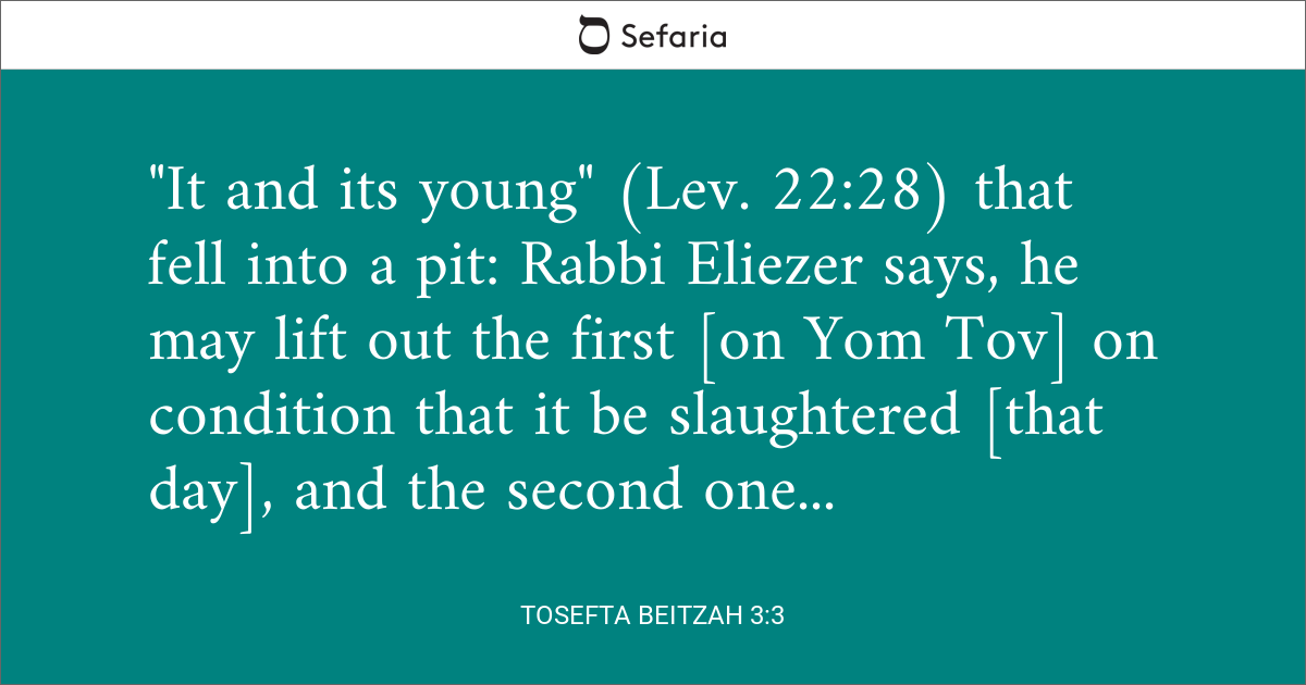 Tosefta Beitzah 3:3