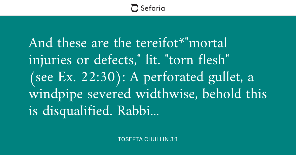 Tosefta Chullin 3:1