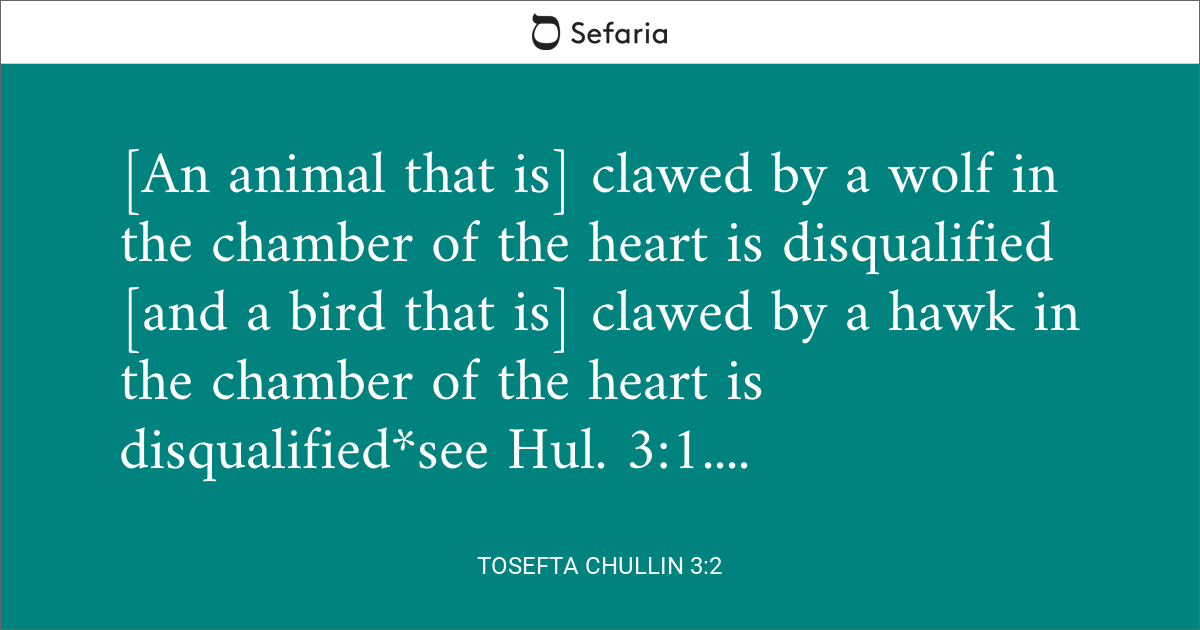 Tosefta Chullin 3:2