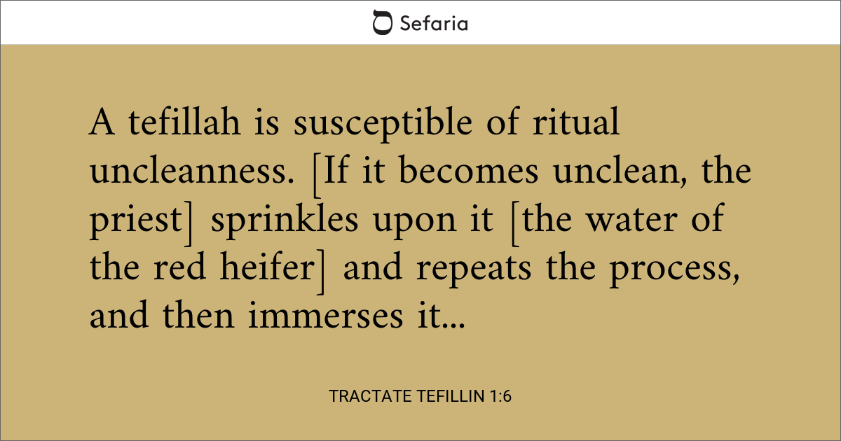 Tractate Tefillin 1:6