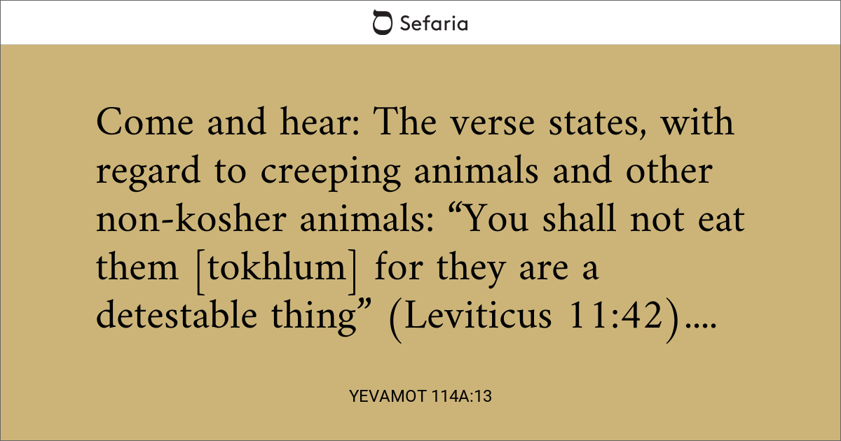 Yevamot 114a:13