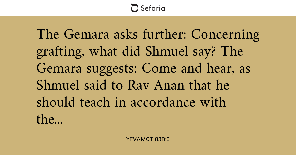 Yevamot 83b:3