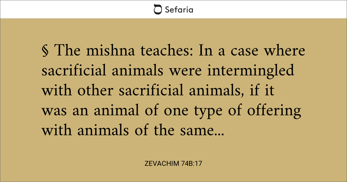 Zevachim 74b:17