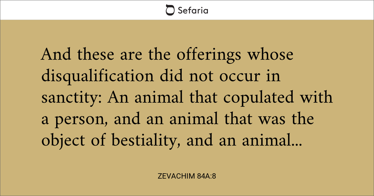 Zevachim 84a:8