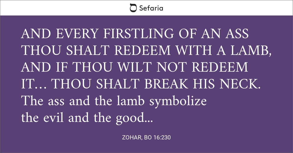 Zohar, Bo 16:230